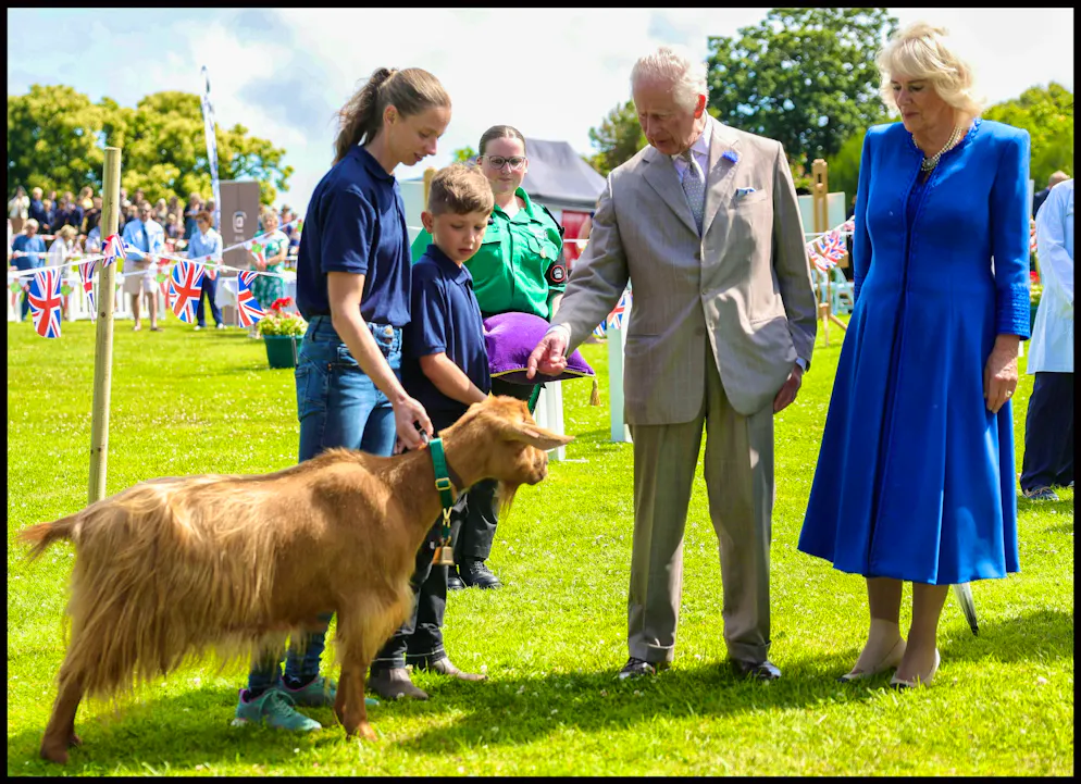 Charles bestows royal title on rare goat | blue News