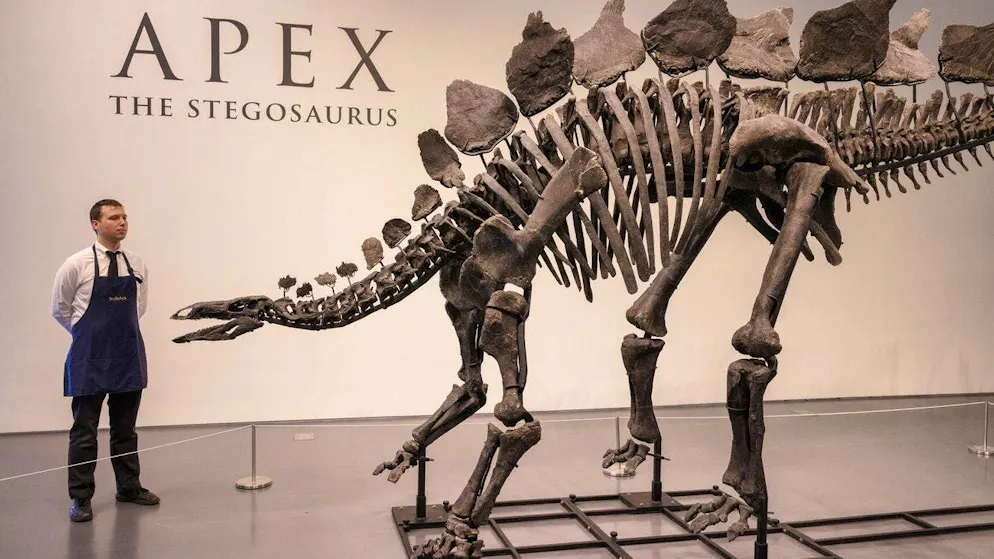Dinosaur skeleton breaks auction record | blue News