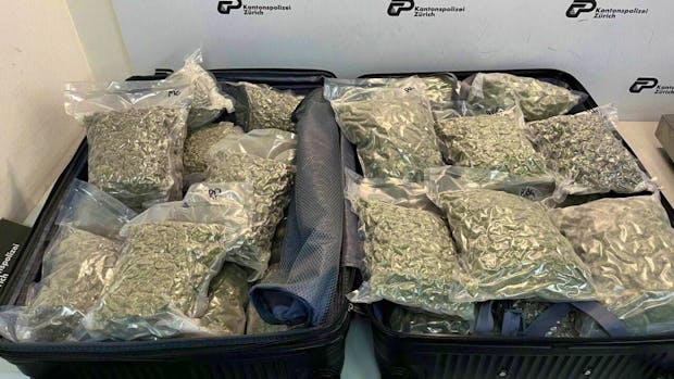 Latest news: 70 kilograms of marijuana seized at Zurich airport | blue News