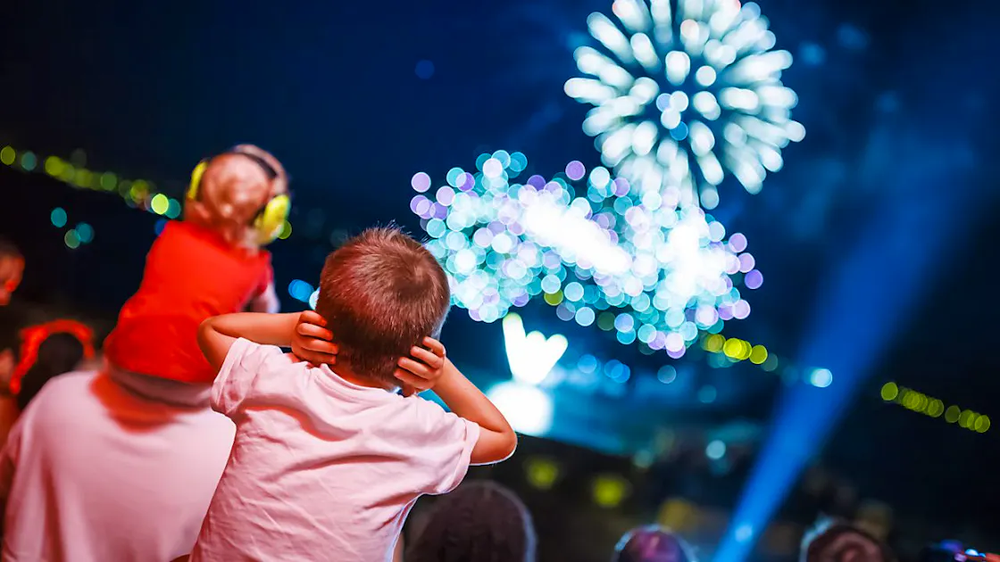 Mysterious: Survey: For every second person, fireworks are part of the ...
