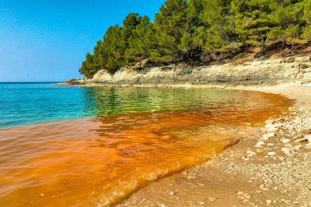 Vacations with a disgust factor: Algae slime spoils bathing fun on the ...