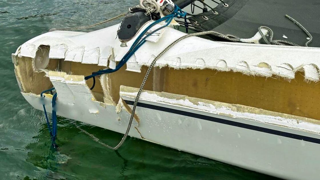 Shipping accident: Six people rescued after two boats collide near ...