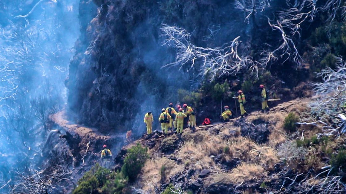 Incendie à Madère: le Portugal fait à appel à l'UE | blue News