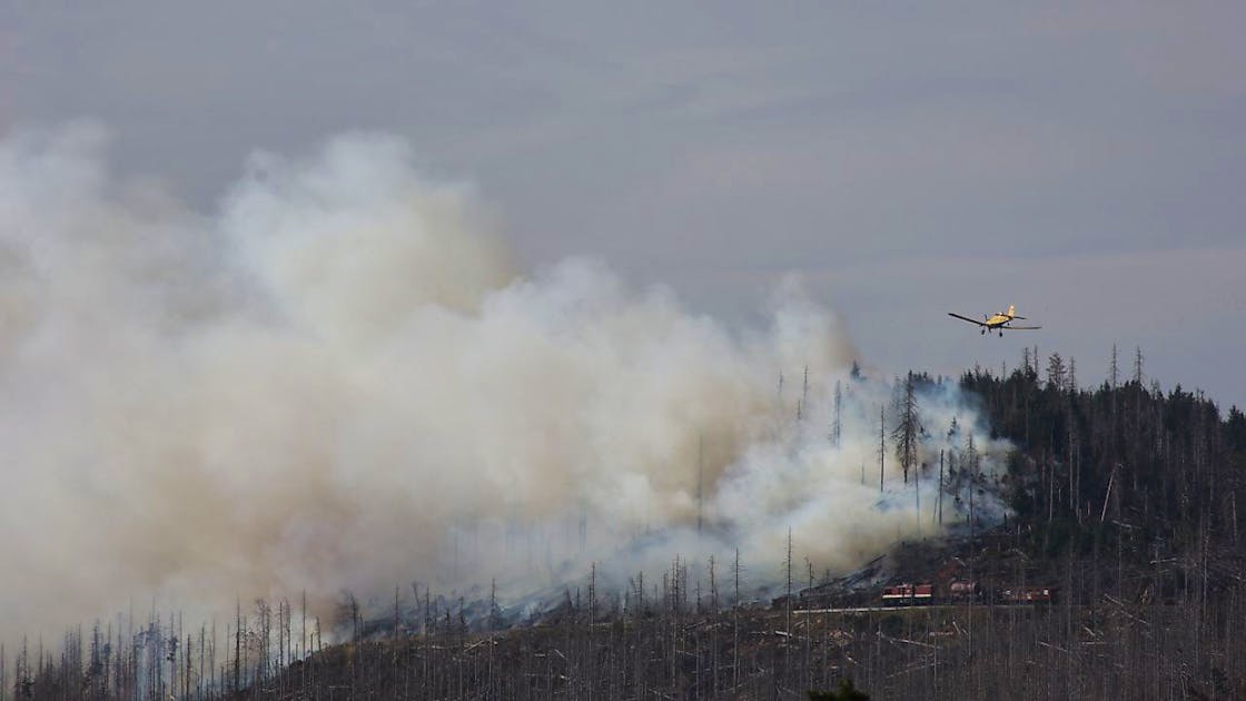 Fires: Large forest fire on the Brocken in Germany spreads | blue News