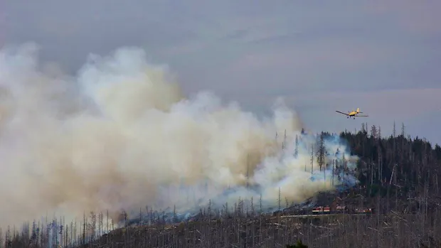 Fires: Large forest fire on the Brocken in Germany spreads | blue News