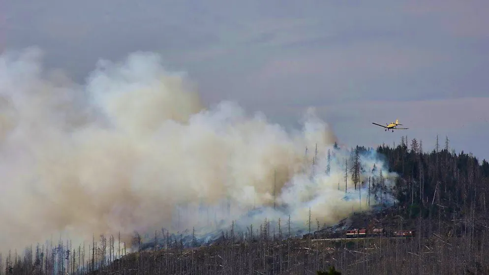 Fires: Large forest fire on the Brocken in Germany spreads | blue News