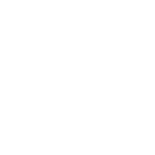 blue Sport: Watch football live