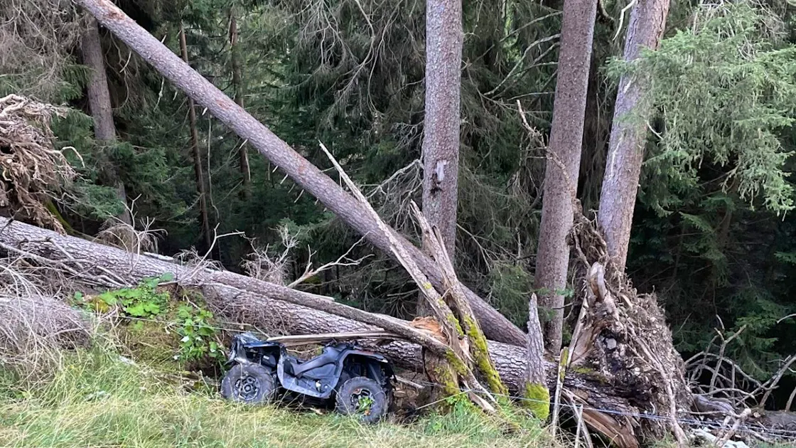 Road accident: Forestry worker saves himself by jumping from quad bike ...