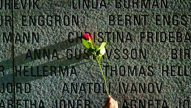 Shipwreck: 30 years after the sinking of the ferry "Estonia" with 852 ...