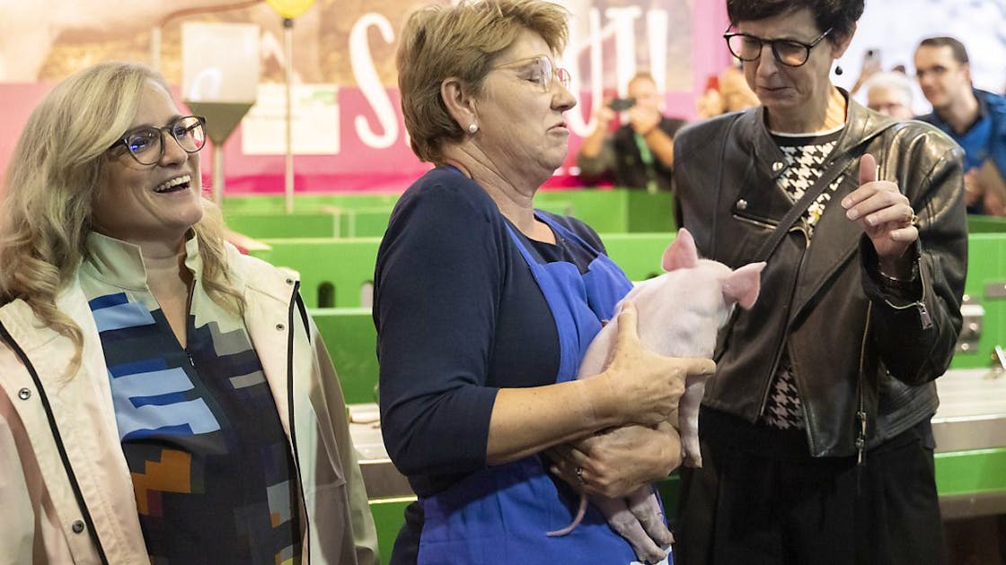 Trade fairs: Federal Councillor Amherd opens the Olma with piglet ...