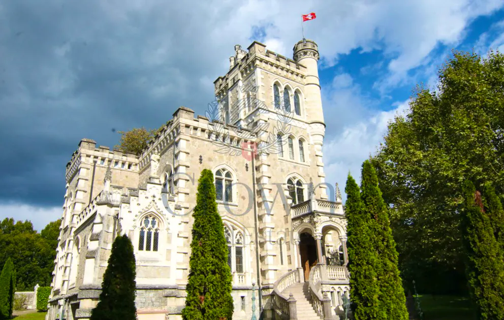 15 rooms and 26 parking spaces: This Geneva castle is yours for 55 ...