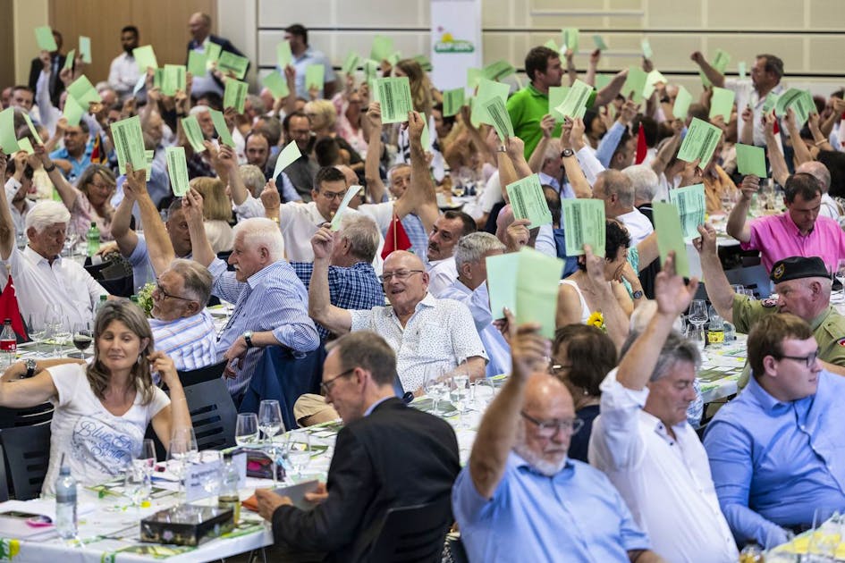 Divided SVP: Party leadership backs away from No to healthcare reform ...