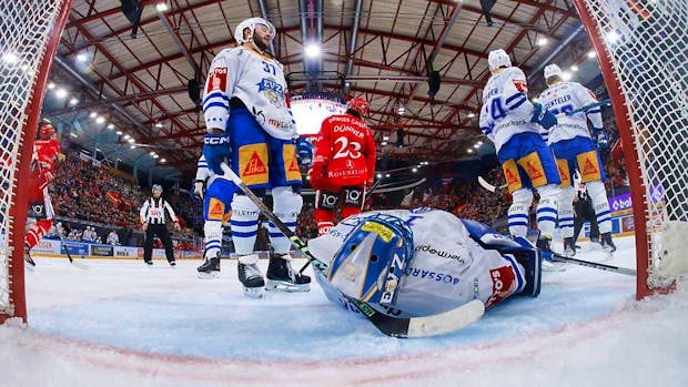 Hunter kills the Tiger ++ 34 penalty minutes in Fribourg ++ next defeat ...
