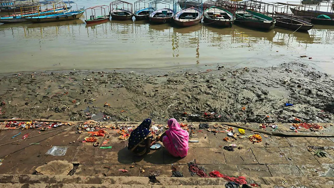 Animals: Volunteers help protect Ganges river dolphins | blue News