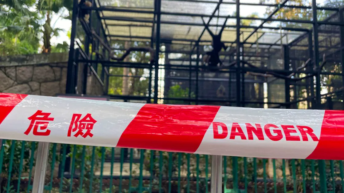 Latest news: Death of twelve monkeys at Hong Kong Zoo | blue News