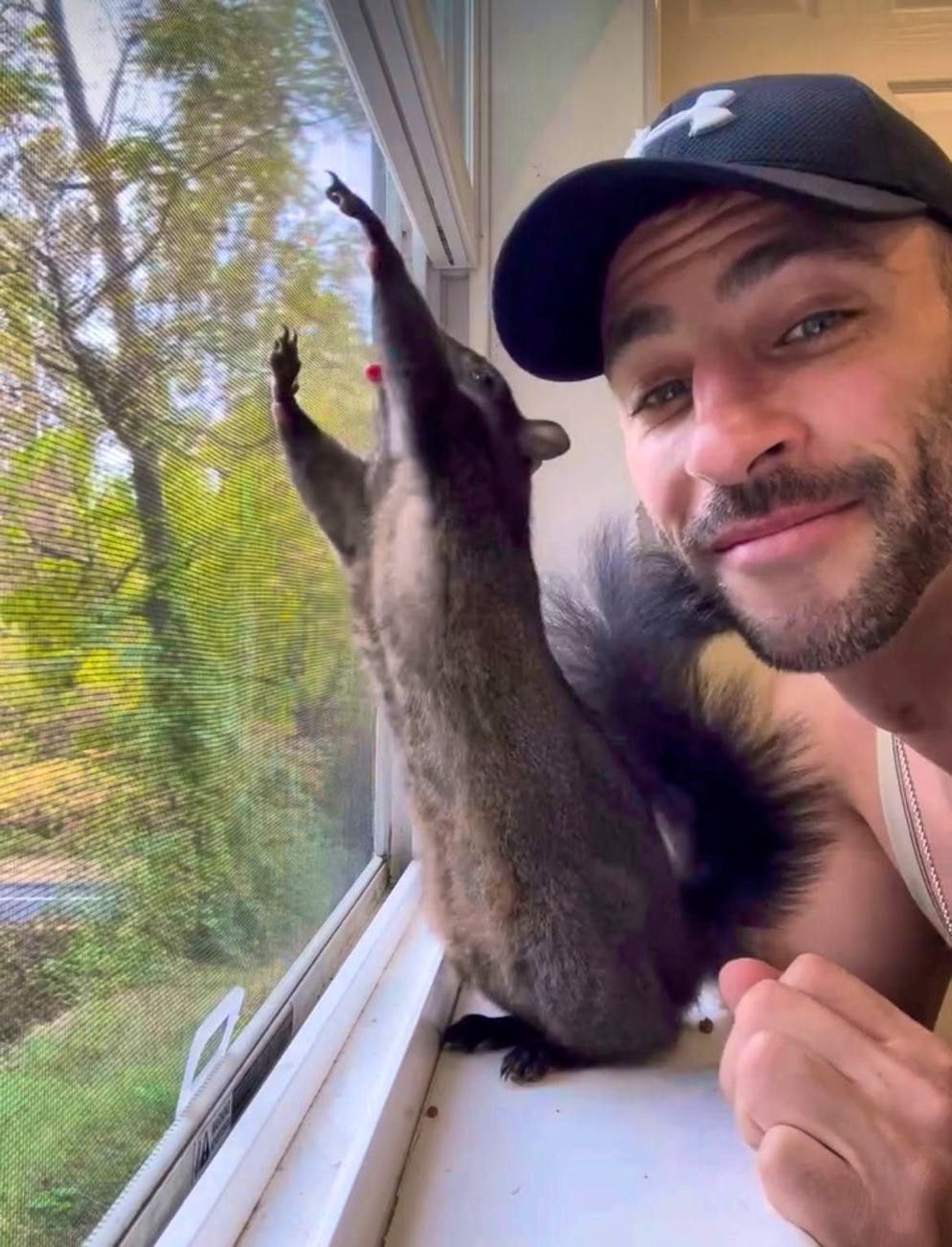 House search in the USA: Police confiscate star squirrel "Peanut ...