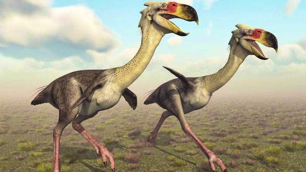 Monster of prehistory: Giant terror bird made South America unsafe ...