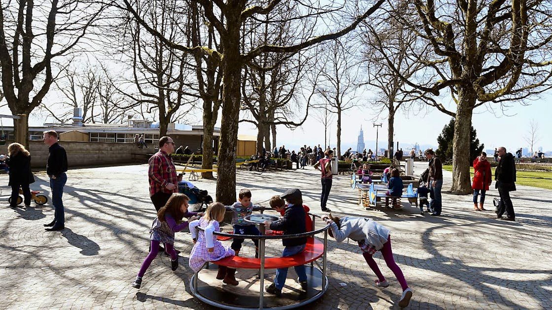 Grünanlagen: Bern plant umfassende Renovierung des Rosengartens | blue News