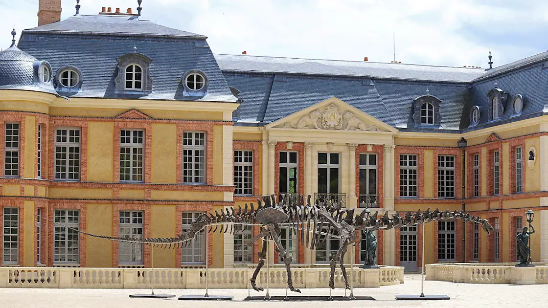 France: Dinosaur skeleton auctioned off in Paris for 4.7 million euros ...