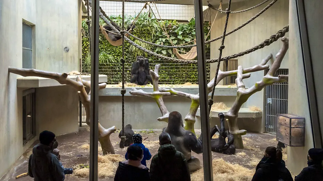 Grosser Rat BS: Zoo Basel soll 8 Millionen Franken vom Kanton erhalten ...