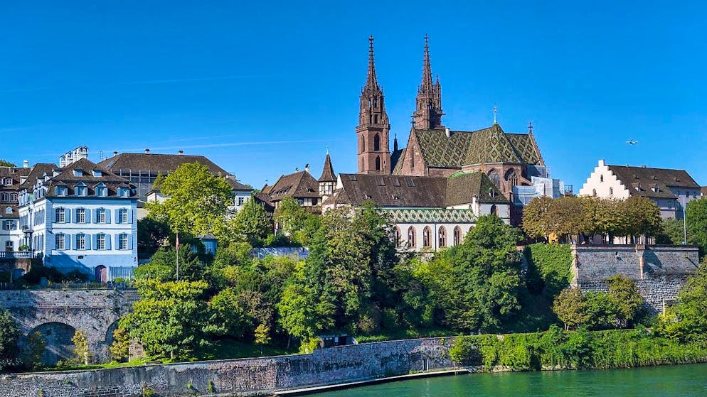 «Alterchi verbali e fisici»: Il pastore di Basilea è infastidito dai ...