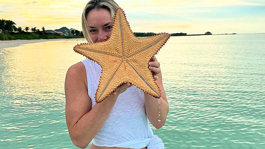 Vorwürfe der Tierquälerei: Ski-Star Lindsey Vonn steht nach Seestern-Foto in der Kritik | blue News