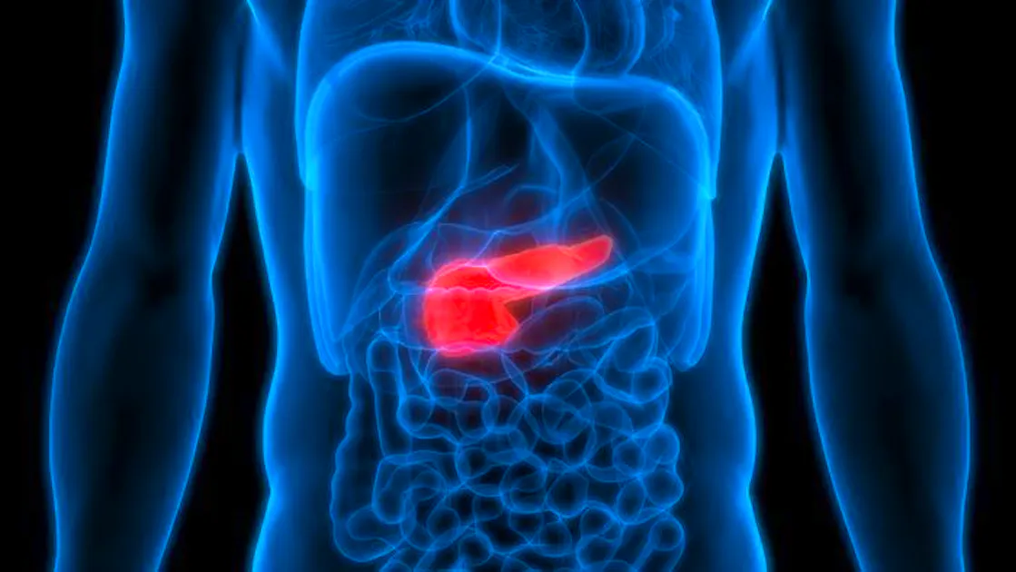10 vital tips: These foods protect your pancreas | blue News