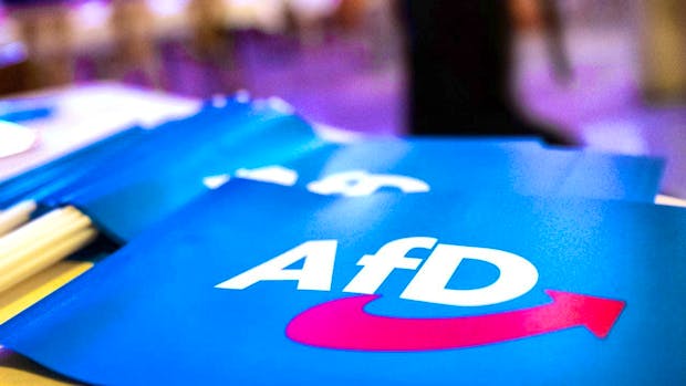 Baden-Württemberg: Government: AfD campaign with "deportation tickets ...