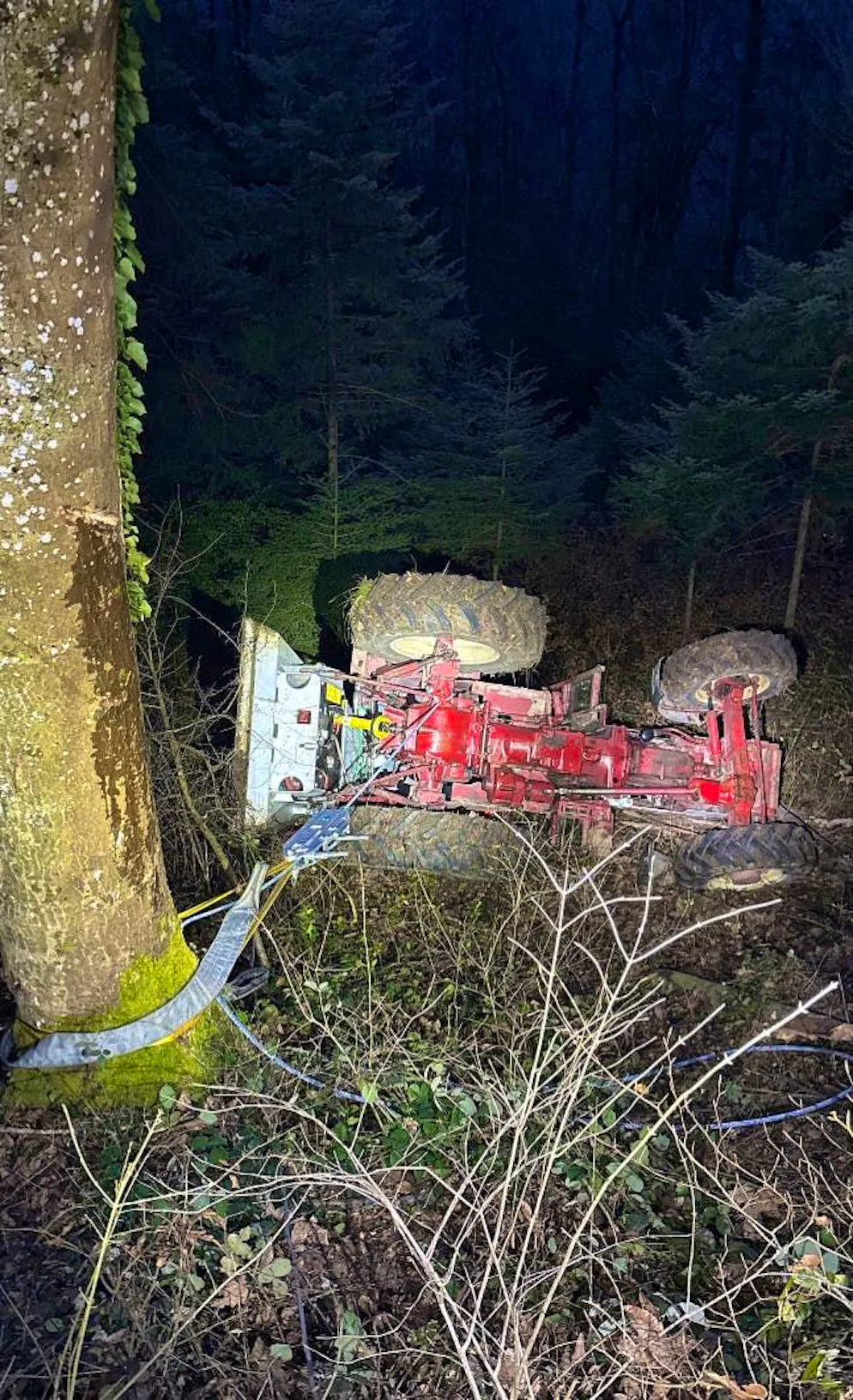 Investigation initiated: Tractor driver dies while felling trees in ...