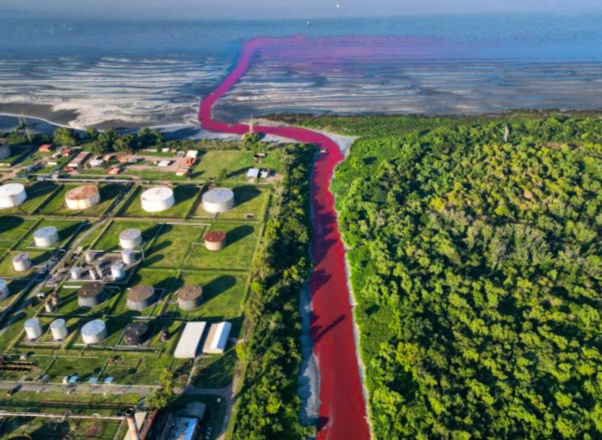 Anwohner äussern bösen Verdacht: Fluss in Buenos Aires leuchtet ...