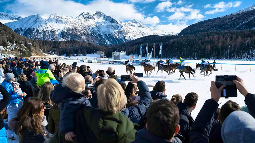 Riding: Saadi once again shows off in the St. Moritz Grand Prix | blue News