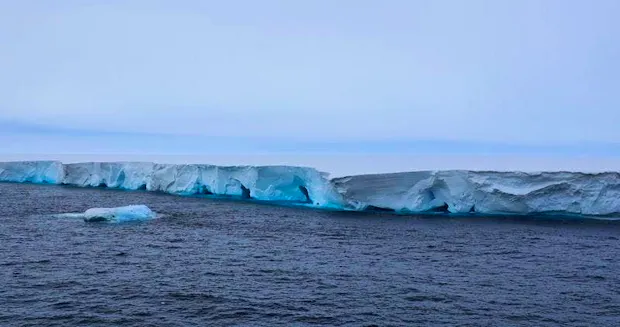 World's largest iceberg runs aground north of Antarctica | blue News