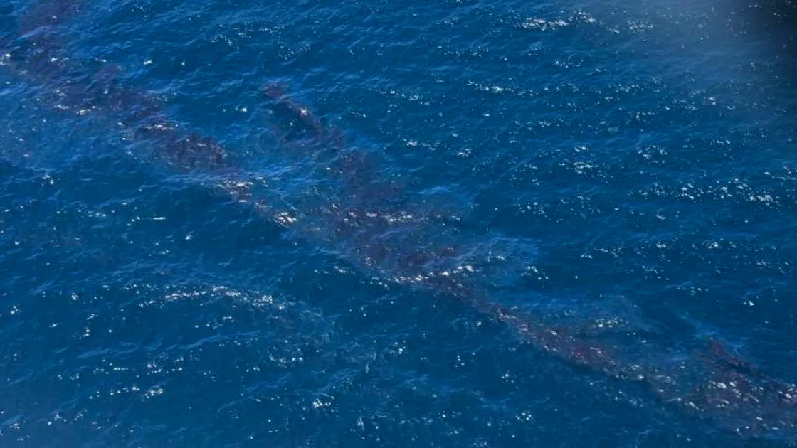 Collisione tra petroliera e cargo nel Mare del Nord: «Oltre 30 feriti ...