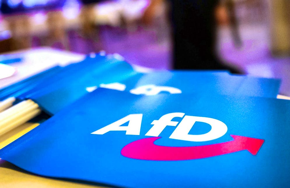 This is the secret AfD donor - he dined with federal councillors | blue ...