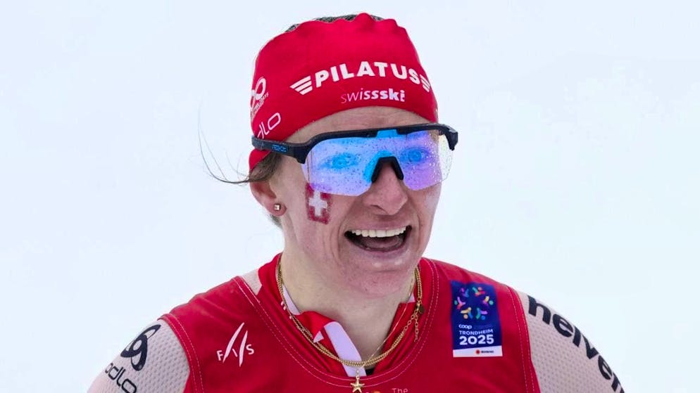 Acompanhante são luis