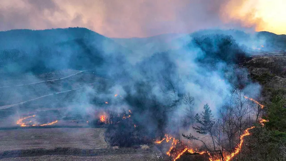 Latest news: Four dead and six injured in forest fires in South Korea ...