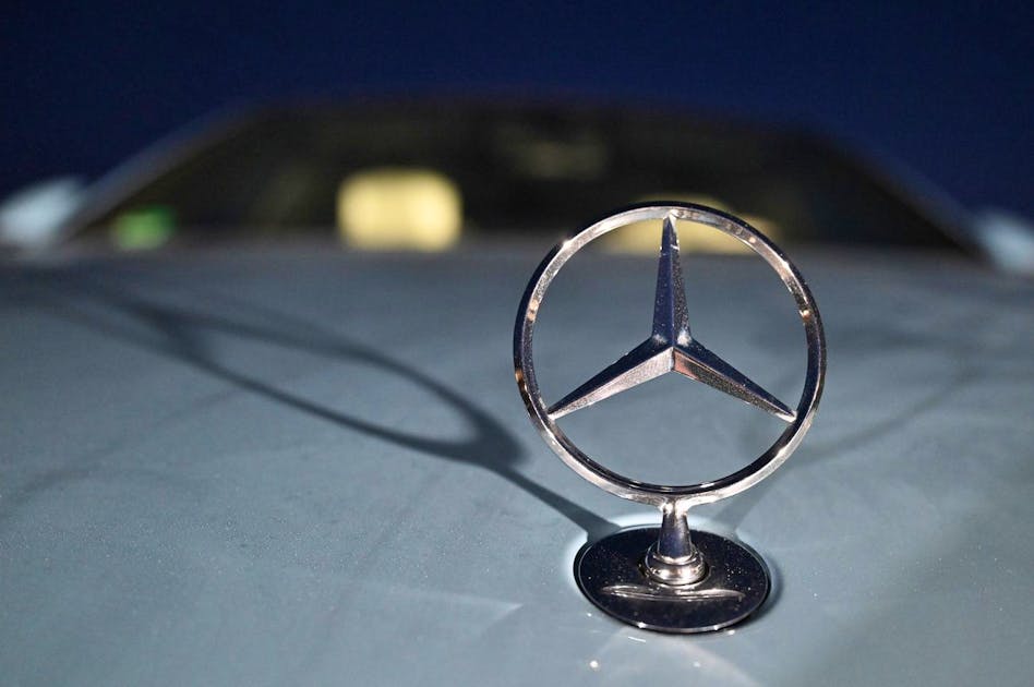 24-year-old woman runs over dog - and continues driving | blue News