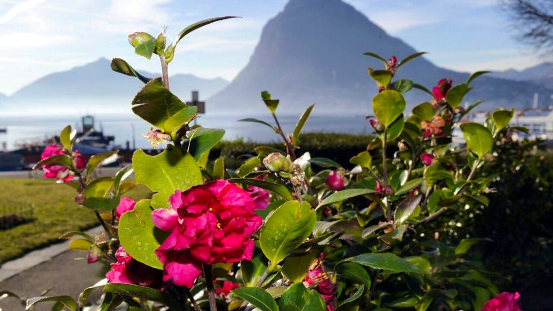 Weather: Very high night-time temperature recorded in Lugano for the ...