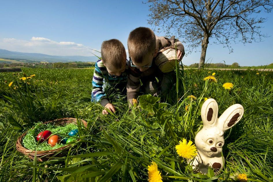 Easter bunny explains: Why do we celebrate Easter with a bunny? | blue News