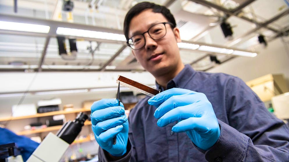 Research team revolutionizes pacemaker development | blue News