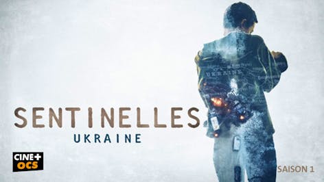 blue Premium avec CANAL+:Le meilleur combo Live TV et streaming en un ...