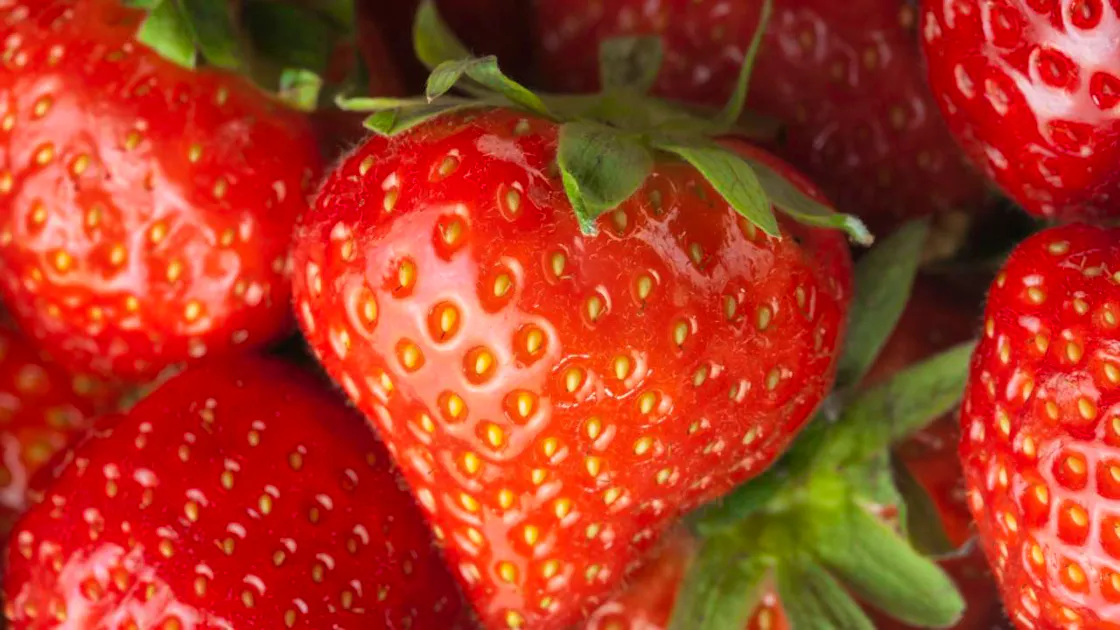 Lebensmittel: Schweizer Obstverband rechnet heuer mit guter Erdbeeren ...