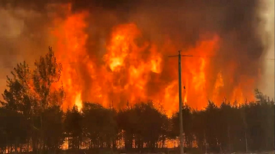 Forest fire: Smoke from large forest fires in Canada reaches Europe ...