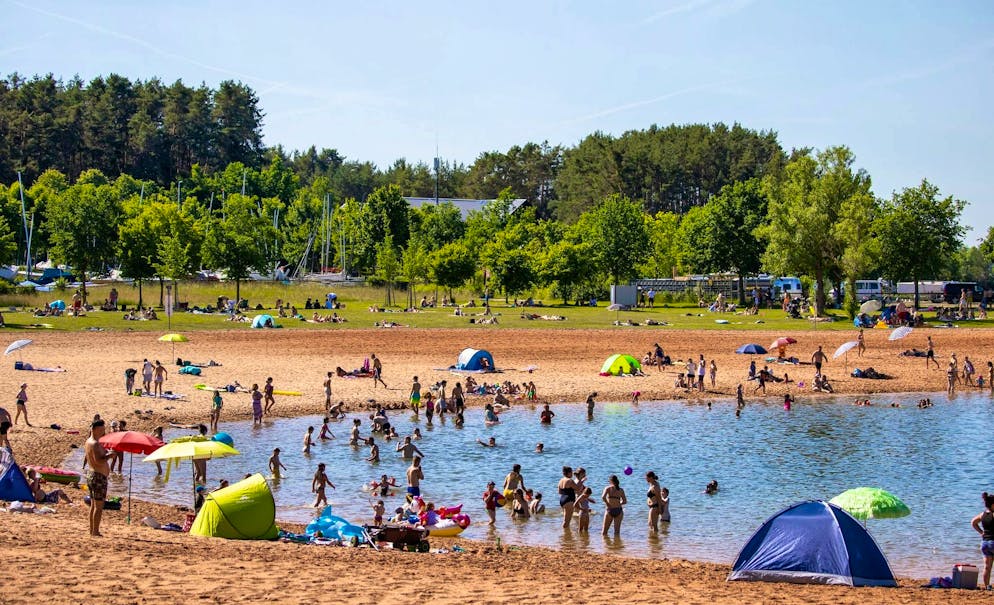 Police officer shoots aggressive two-meter fish | blue News