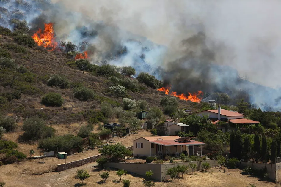 New forest fire spreads near Athens | blue News