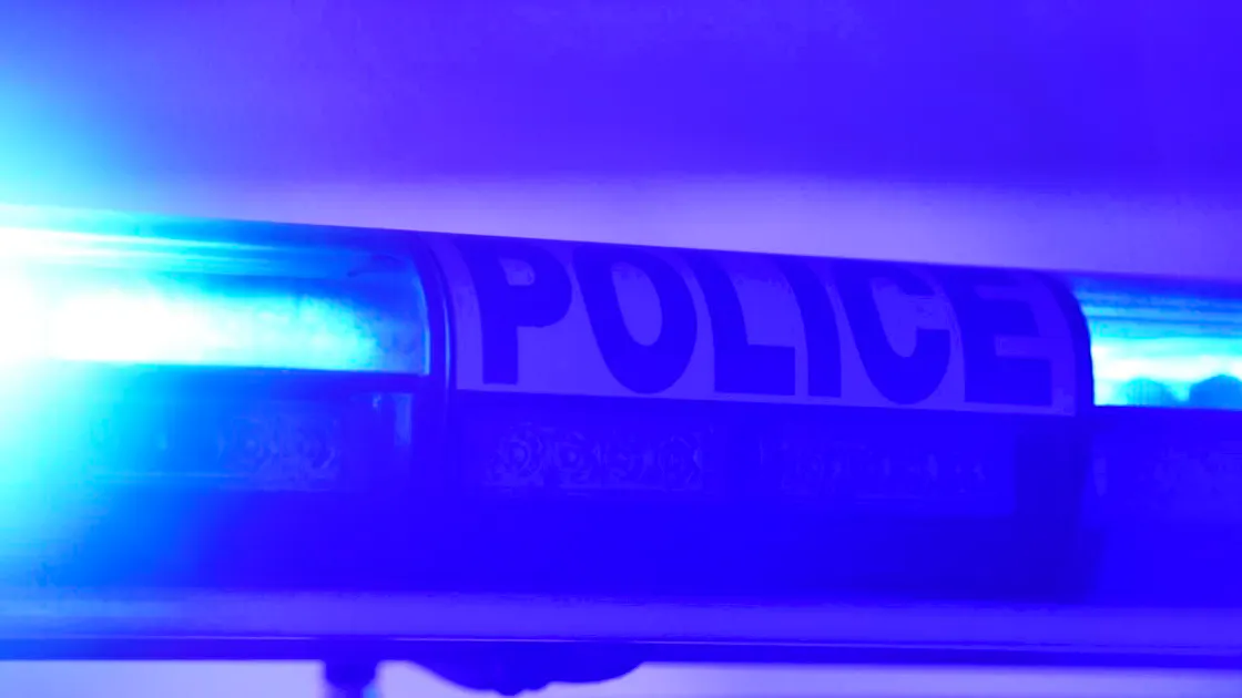 Latest news: Three dead in small plane crash in France | blue News