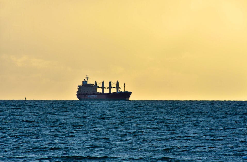 Bogota révèle où pourraient être les survivants | blue News