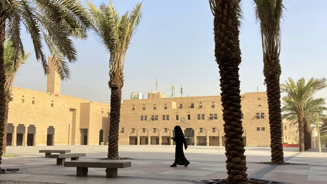 Politics: Human rights activist: More executions in Saudi Arabia | blue ...