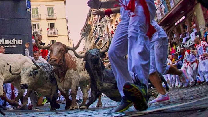 Spain: First horn-butting injury at bull runs in Pamplona | blue News