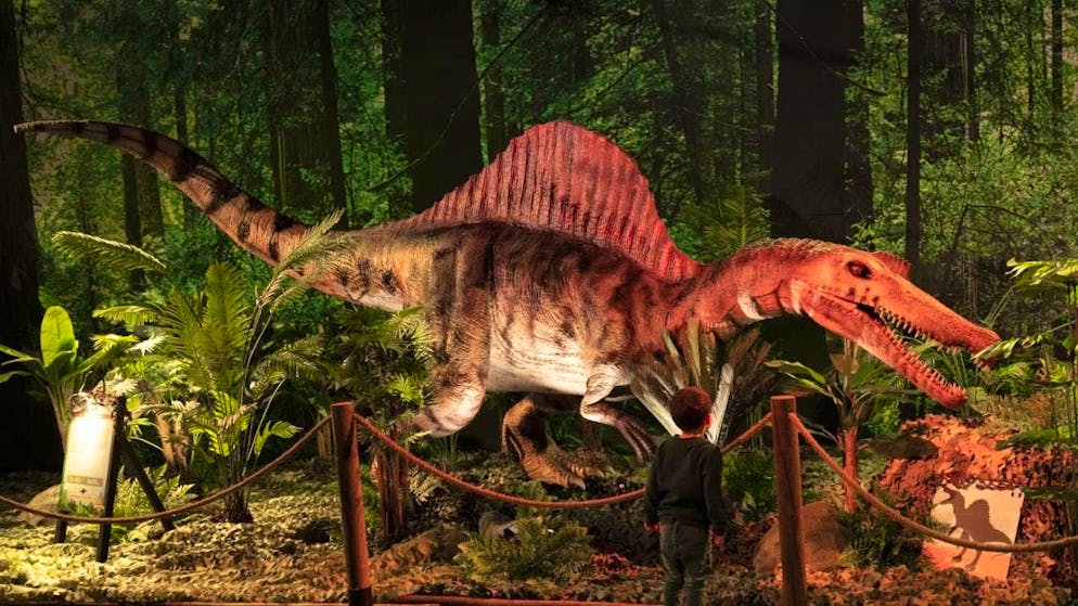 New dinosaur species with skin sail discovered | blue News
